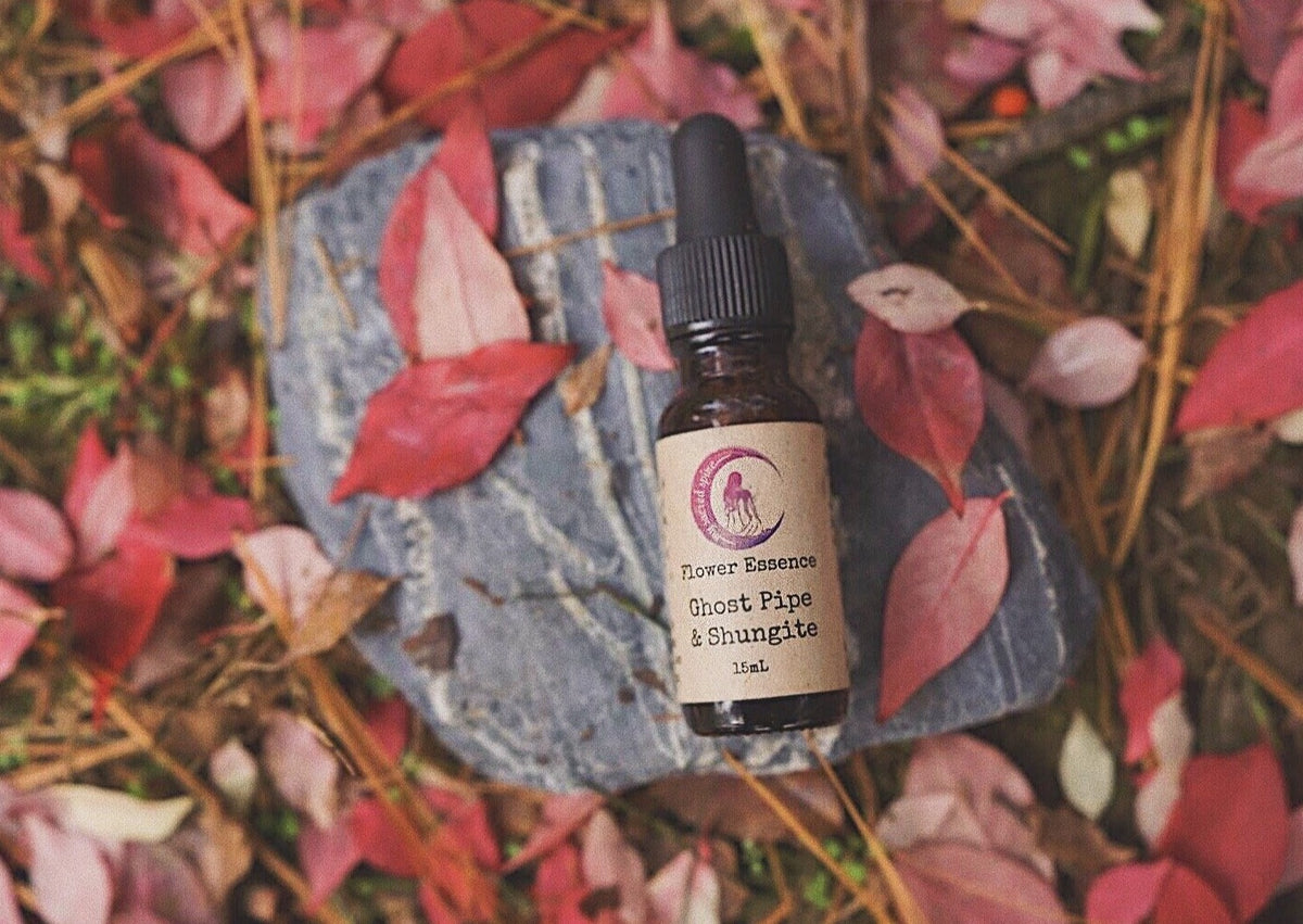 Ghost Pipe & Shungite Flower Essence - My Sacred Spine